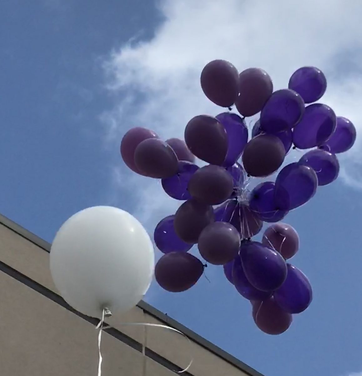 Virtual 5K this week, last week’s balloon release brings awareness of ...