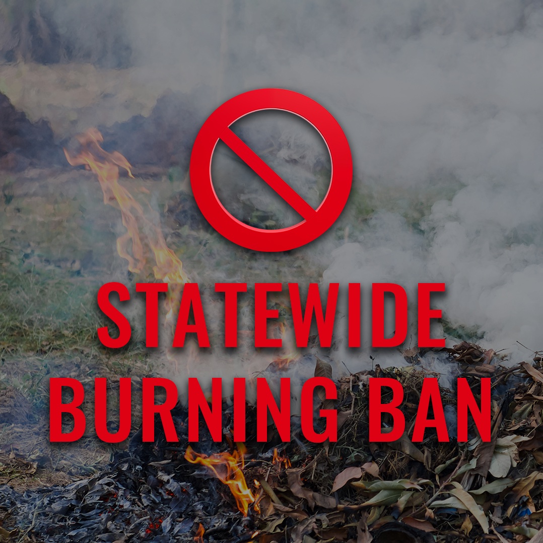 SC Forestry Commission issuing statewide burning ban – The Laurens ...