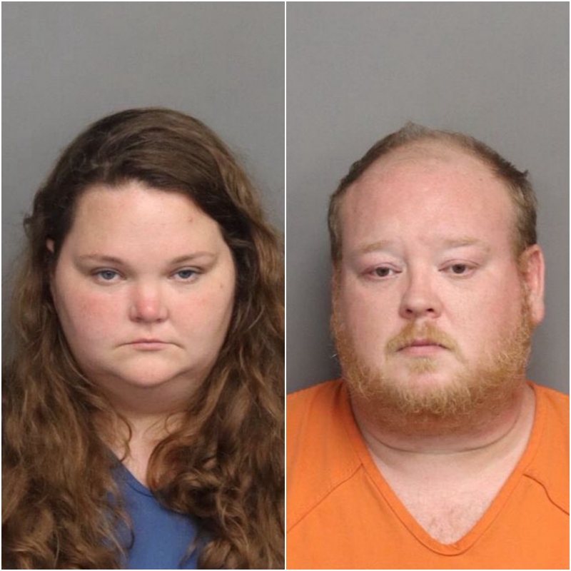 Laurens couple arrested, faces child, animal abuse charges – The ...